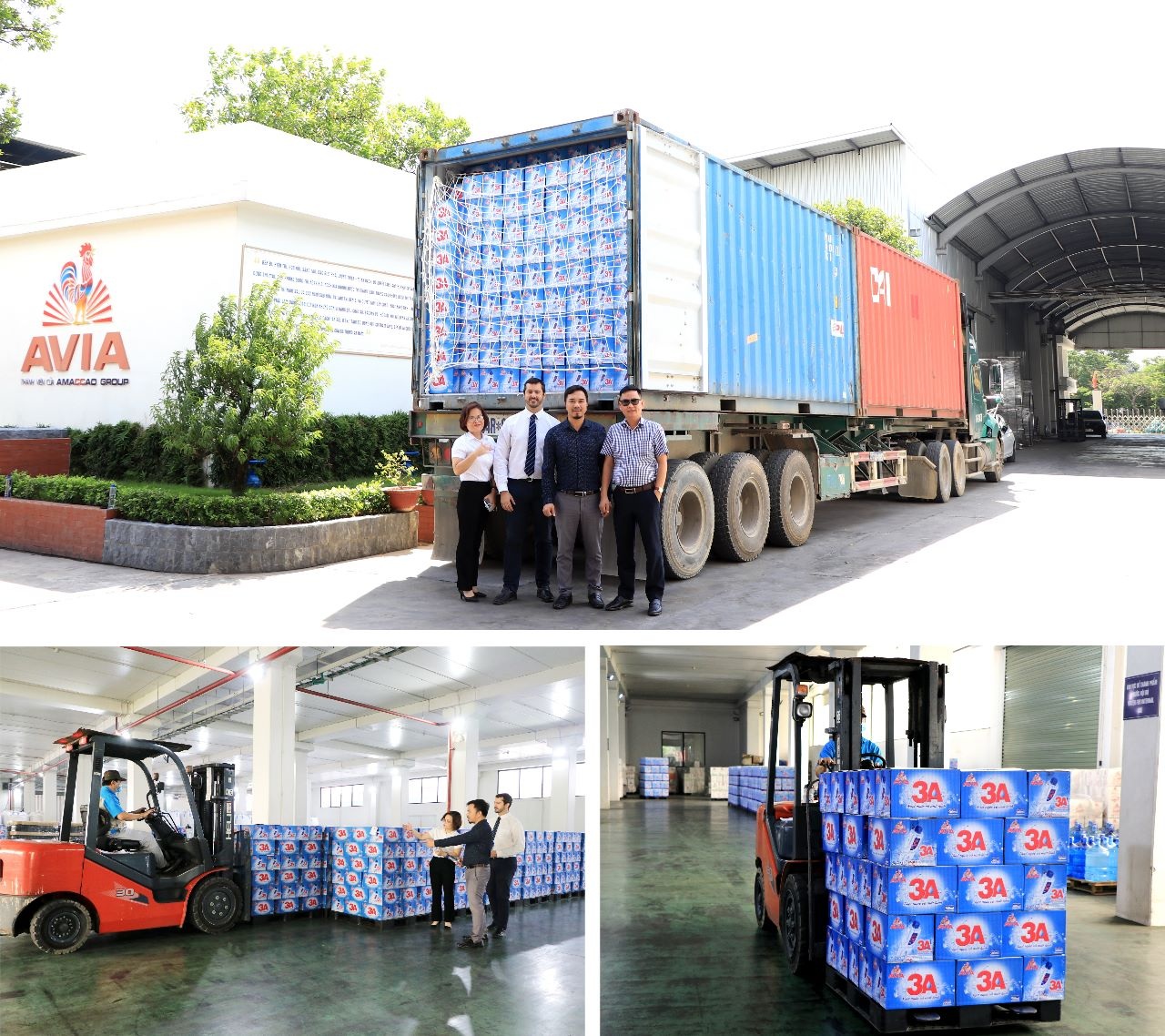 Thương hiệu AVIA - AMACCAO khẳng định vị thế tại thị trường quốc tế ...