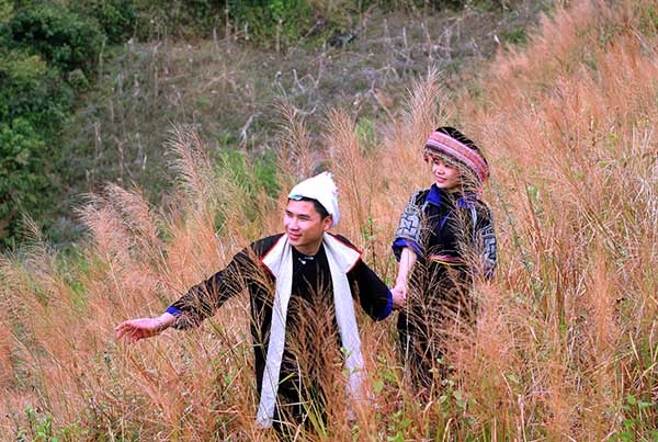 Chuyên trang Dân sinh - Mù Cang Chải rực rỡ sắc hoa đào rừng | Báo Dân trí