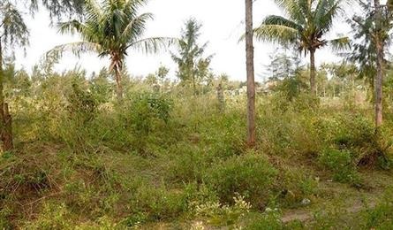 Lack of infrastructure blamed for stagnant tourism projects