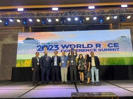 Vietnamese rice wins world's best rice contest for second time | DTiNews