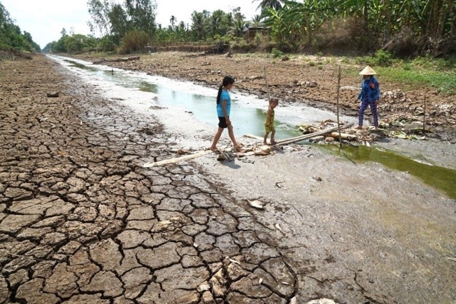 Ministry to allocate VND4bn to fight drought in the Mekong Delta | DTiNews