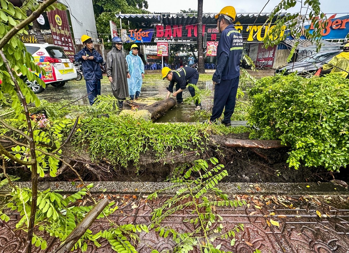 Heavy rains knock down trees, cause traffic jams in HCM City