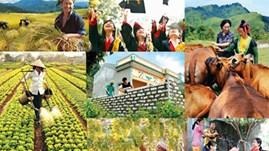 WTO chief lauds Vietnam's poverty reduction accomplishments | DTiNews