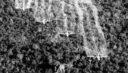 Agent Orange's lethal legacy: Defoliants more dangerous than they had ...
