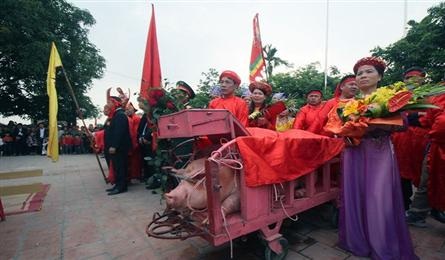DTiNews - Pig slaughter festival continues to be held in private | Báo ...