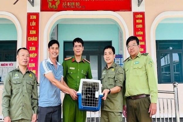 White-cheeked gibbon found on Dong Nai farm | DTiNews