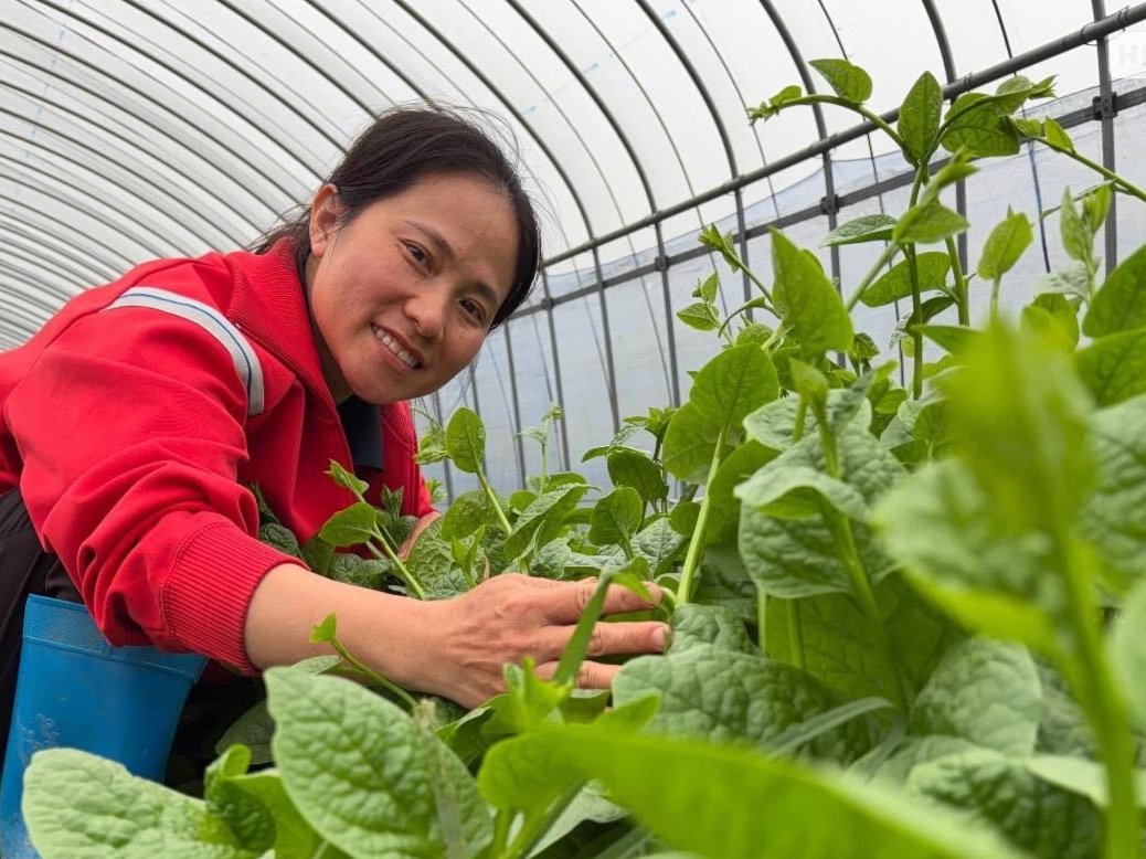 Vietnamese woman builds thriving farm business in Japan | DTiNews