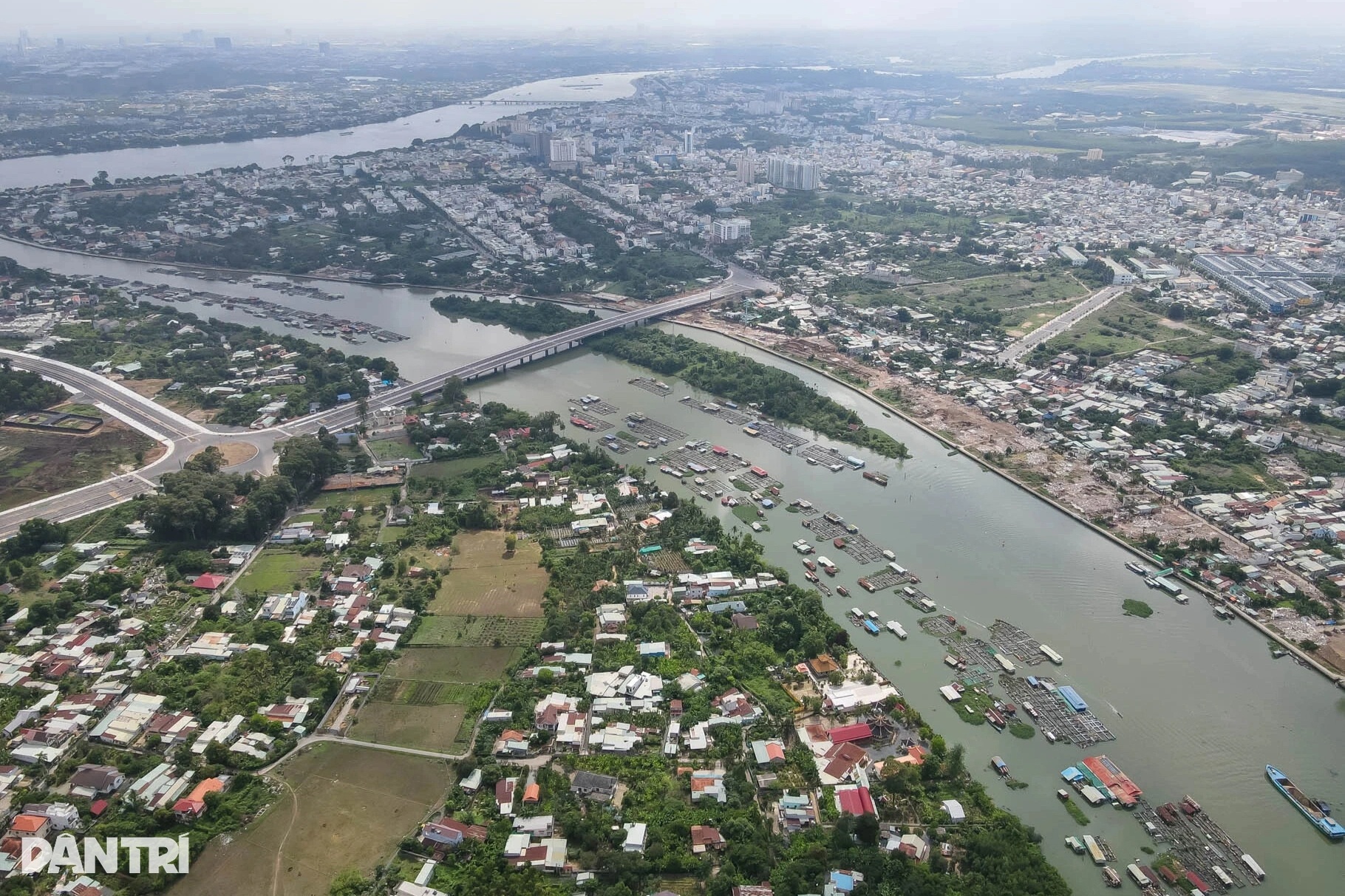 Fish cages worsen pollution concerns on Dong Nai River | DTiNews