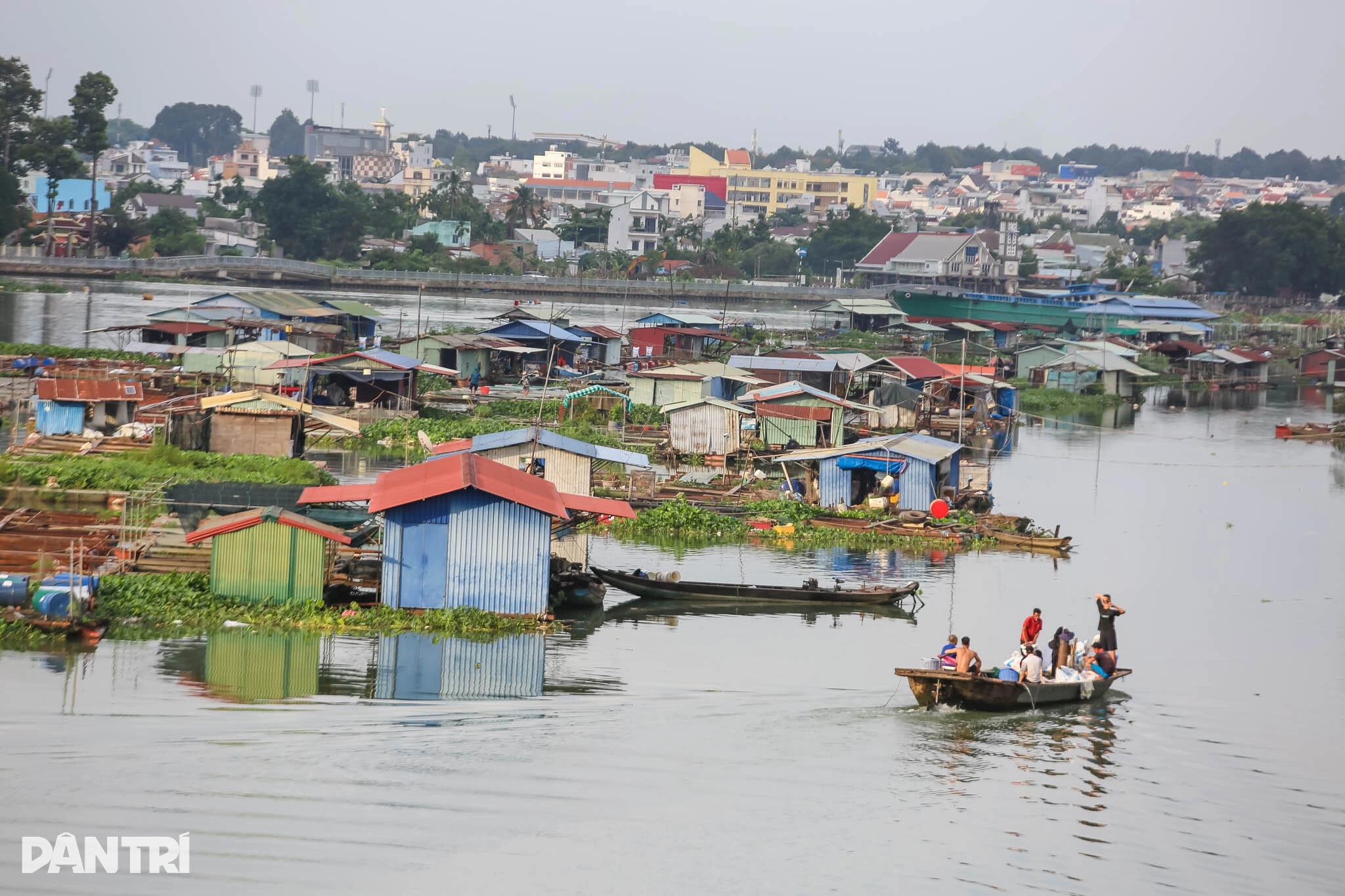 Fish cages worsen pollution concerns on Dong Nai River | DTiNews