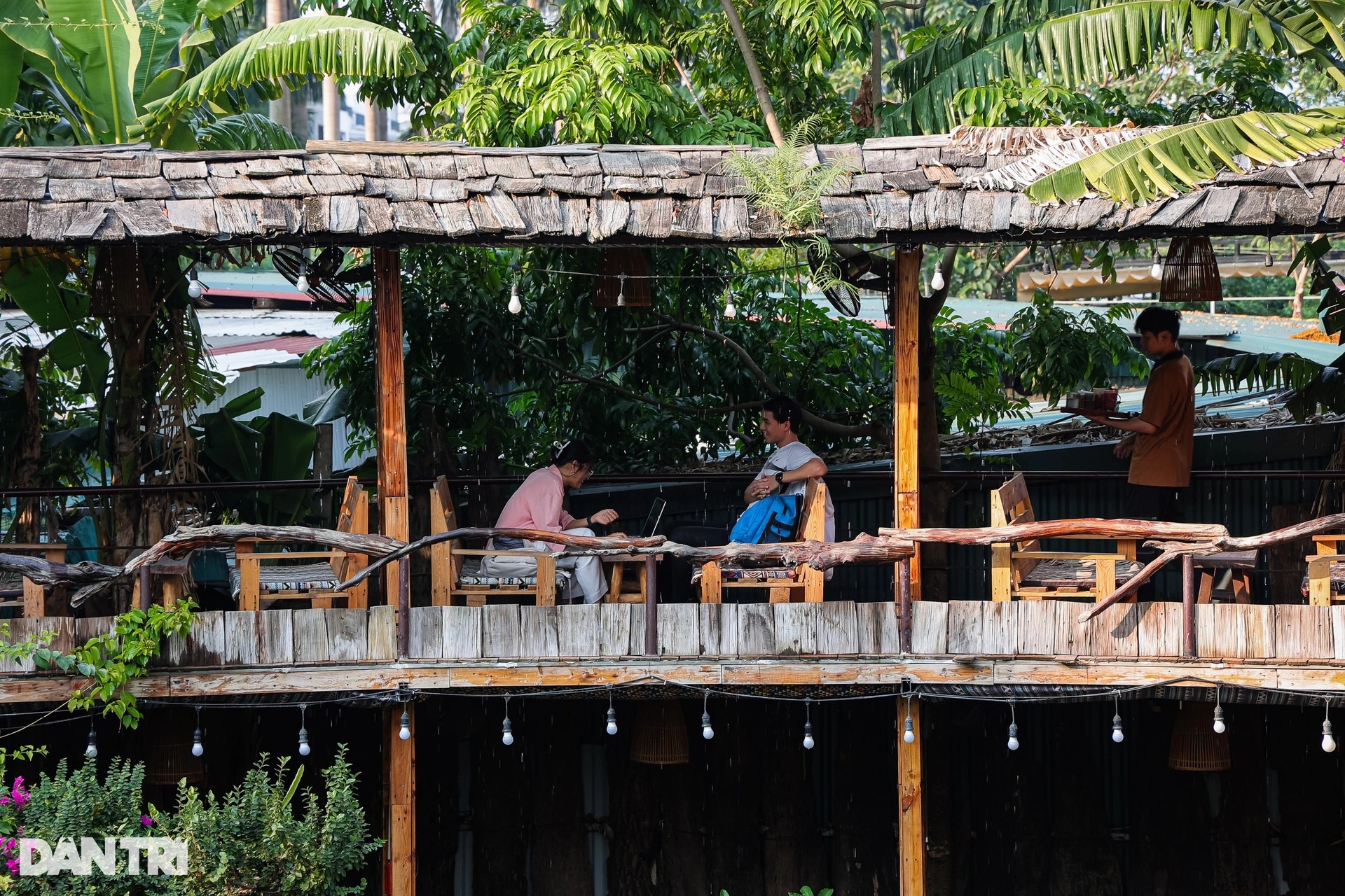 Tropical rainforest-style coffee shop draws customers