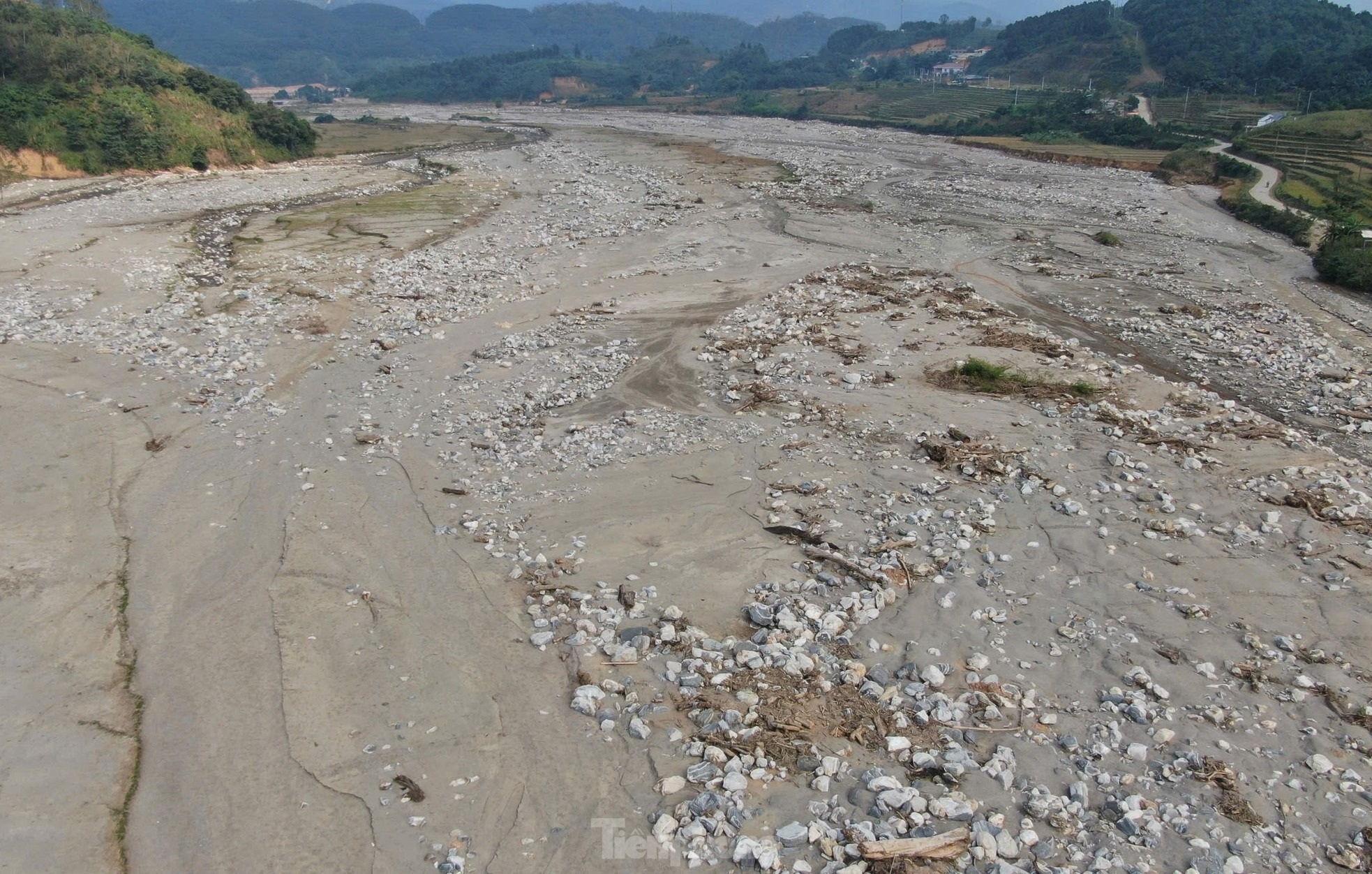 Lao Cai rice fields devastated by typhoon