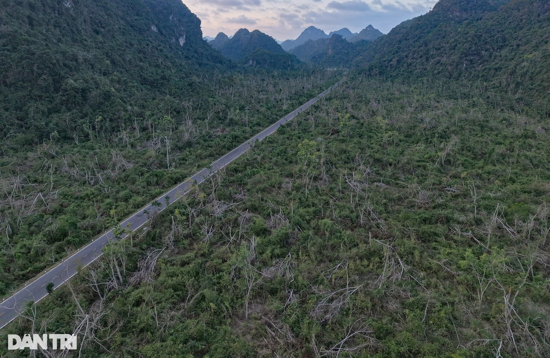Cat Ba National Park remains devastated after Typhoon Yagi | DTiNews