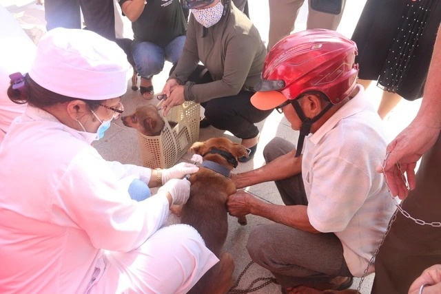 Rabies-related fatalities in Vietnam remain high