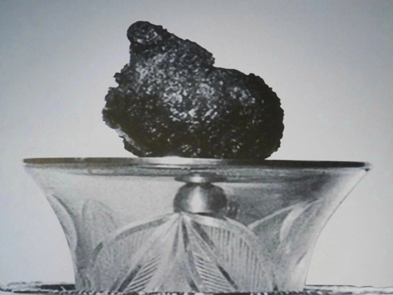 Bodhisattva Thich Quang Duc's heart to be enshrined at Quoc Tu Pagoda ...