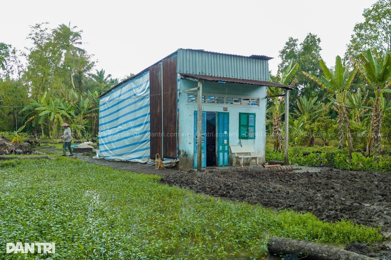 Dantri hands over new home to poor family in Can Tho