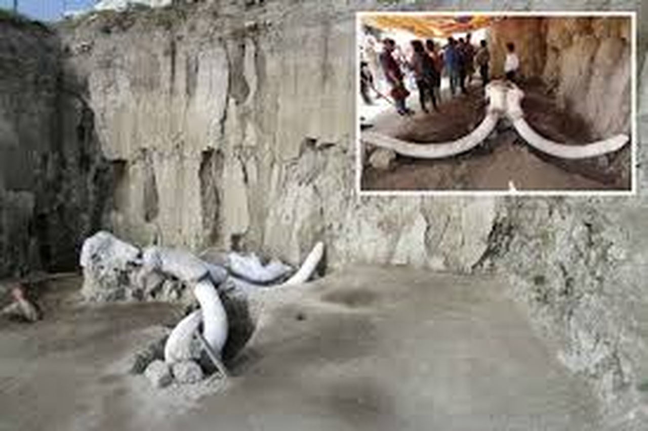 Tìm thấy hố bẫy voi ma mút của người cổ đại | Báo Dân trí