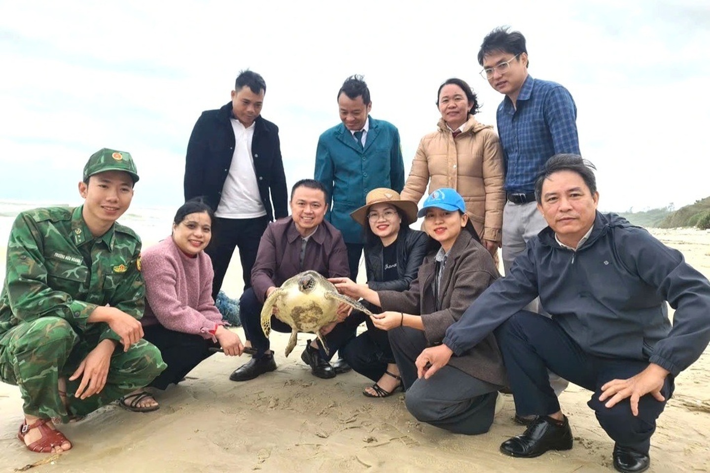 Rare sea turtle tagged and released in central Vietnam | DTiNews
