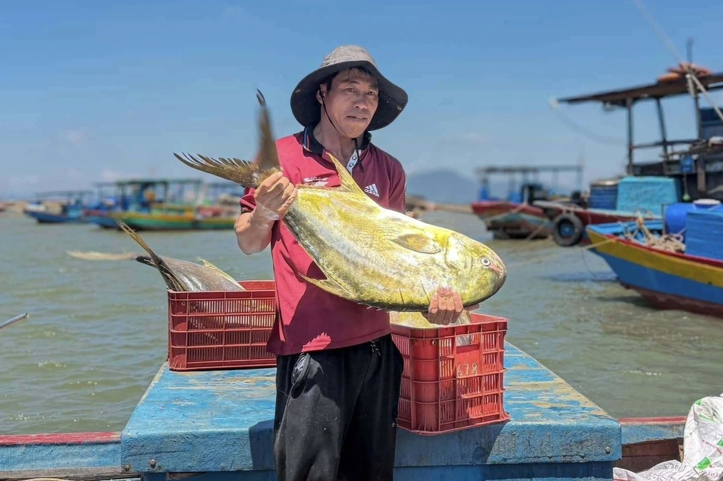 Ha Tinh fishermen haul in large fish catch | DTiNews