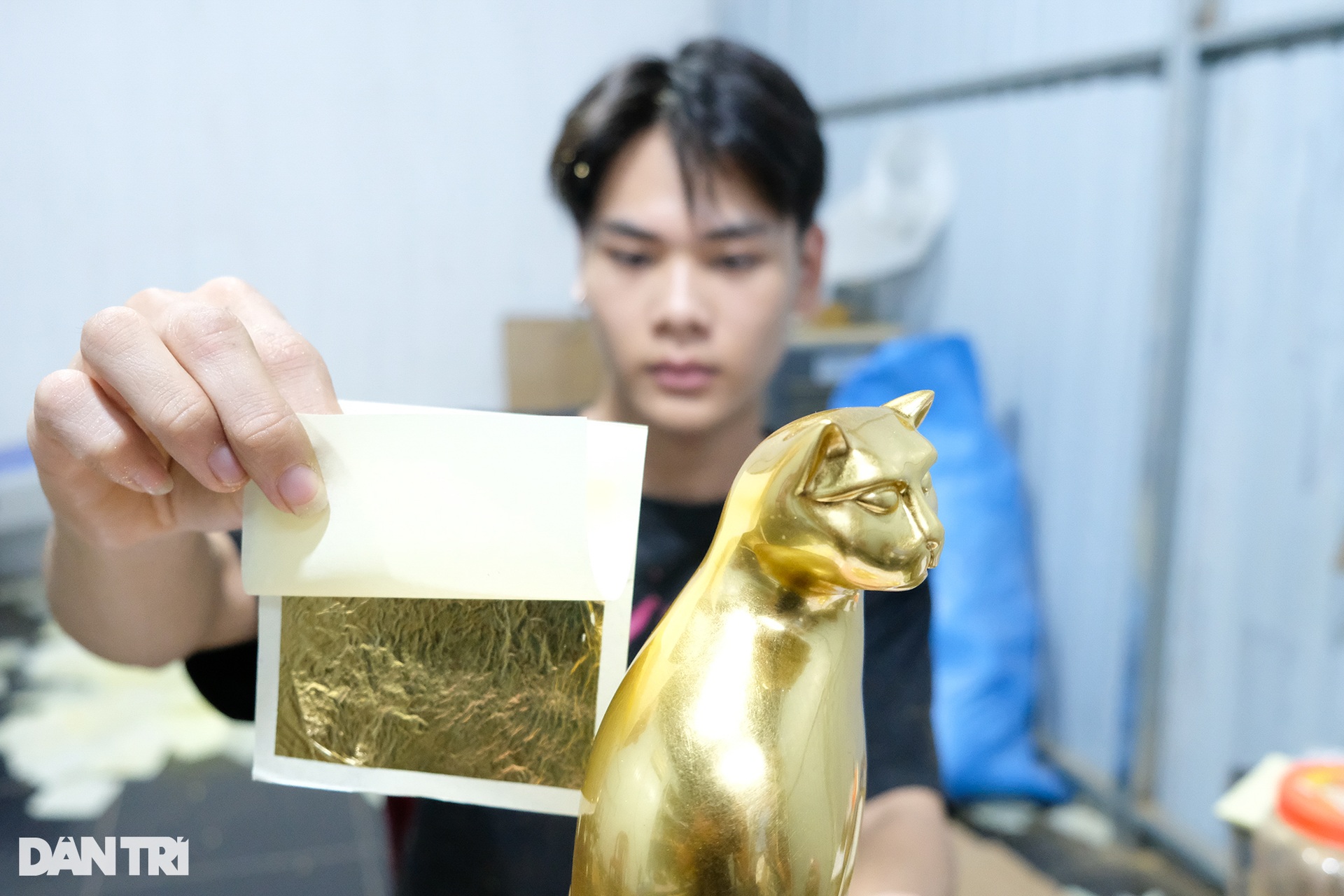 Chiêm ngưỡng linh vật mèo dát vàng 24k chào đón Tết Quý Mão 2023 | VOZ