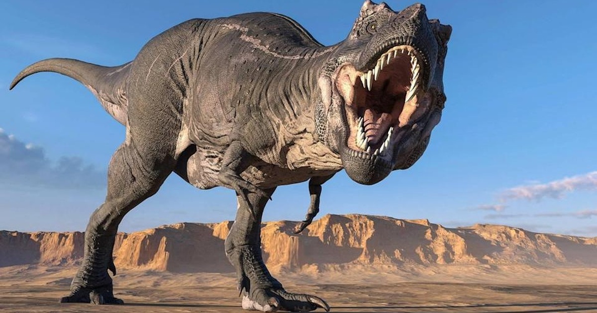 Lực cắn "ngàn cân" của khủng long bạo chúa đáng sợ cỡ nào? | Báo Dân trí
