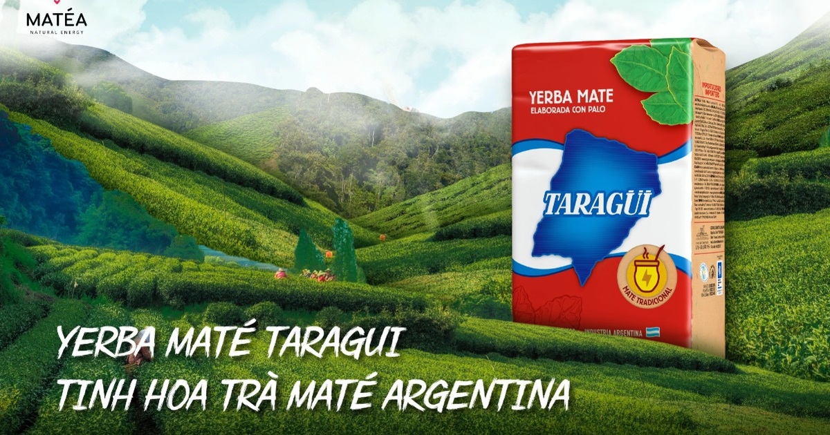 Trà Yerba Maté - thức uống bổ sung năng lượng, khơi dậy tỉnh táo đã có ...