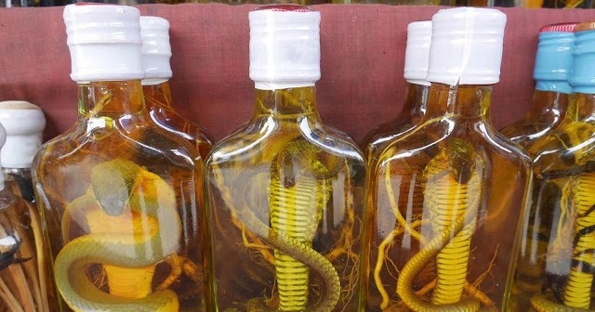 Làng chuyên ngâm rượu rắn, rết, bọ cạp cùng nhiều loài kịch độc | Báo ...