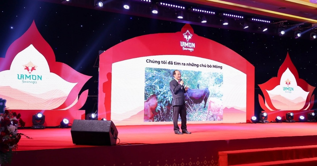 Thương hiệu thịt bò Lamon đã có mặt tại chuỗi cửa hàng Bapi Food | Báo ...